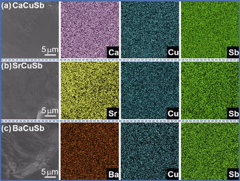 Sem Images And The Corresponding Eds Elemental Mappings On The Download Scientific Diagram