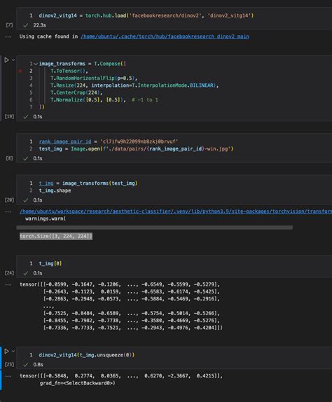 is this the right way to do inference · issue 2 · facebookresearch