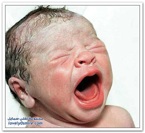 صور مميزة لأطفال حديثي الولادة لفلي سمايل