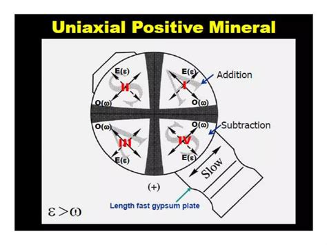 Interference Colour And Interference Figures Pptx
