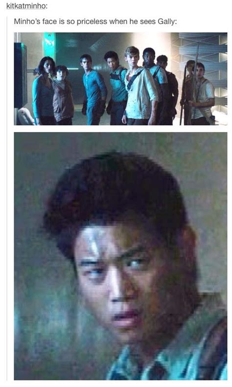 Pin By Kimy On Maze Runner Maze Runner Funny Maze Runner Maze Runner Movie