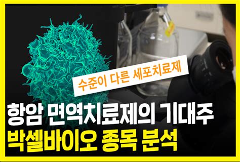 에딧머니 종목연구소 간암치료제 사용승인 박셀바이오 분석 딜사이트