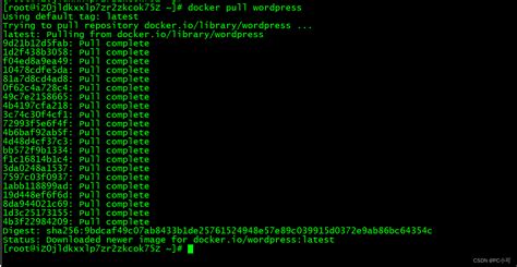 使用docker安装wordpress详细教程及出现数据库无法连接问题解决方法 Csdn博客