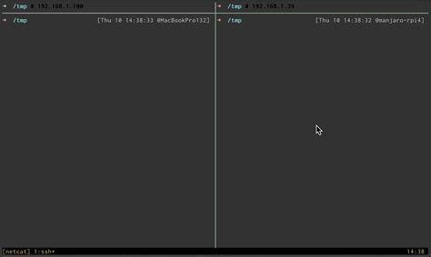Tcpip 瑞士军刀 Netcat 篇一 湿科技
