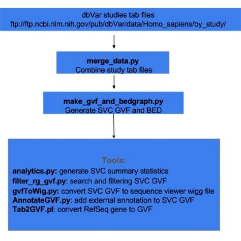 Dataflow For Generating Svc And Tools For Analysis Download