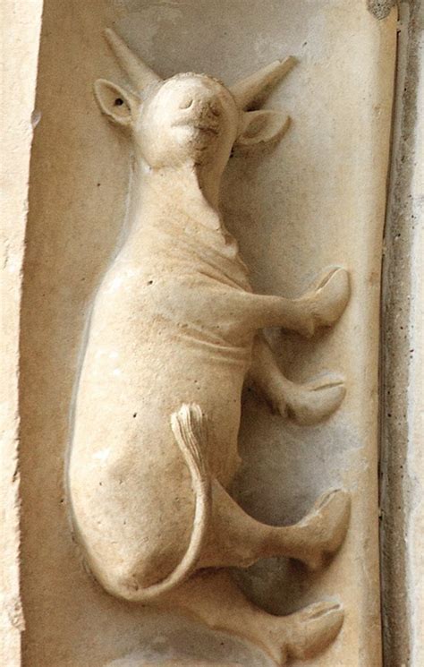 Знаки Зодиака Шартрского собора Sergeyurich — Livejournal