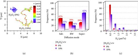 the temporal heterogeneity of diffusion behaviors of gncs pt in the