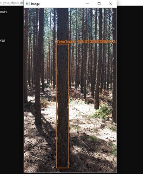 Tree Diameter Determination Using Ai And Machine Learning Bridgewiz