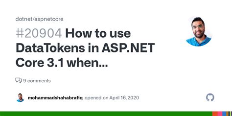 How To Use DataTokens In ASP NET Core When Performing Dynamic Routing Issue