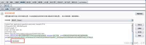 【burpsuite工具系】使用burpsuite一次完整的测试xss漏洞 burpsuite扫描xss漏洞 csdn博客