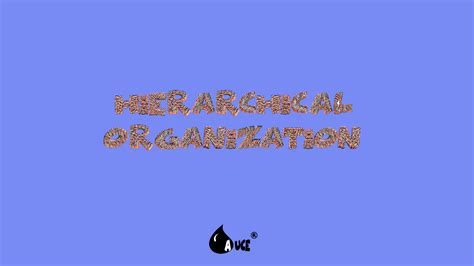 Hierarchical Organization Sauce Culture Usa