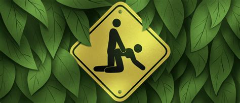 The Ins And Outs Of Public Sex How Why And Where To Indulge Tabooless