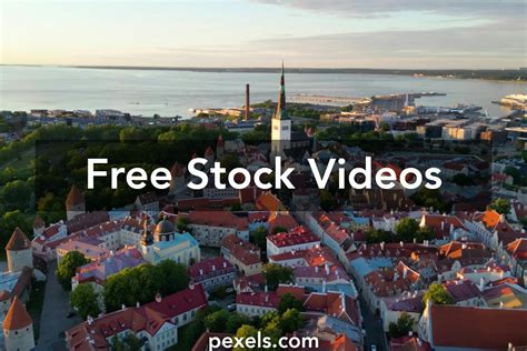 Nippyfilemp4valya Videos Download The Best Free 4k Stock Video