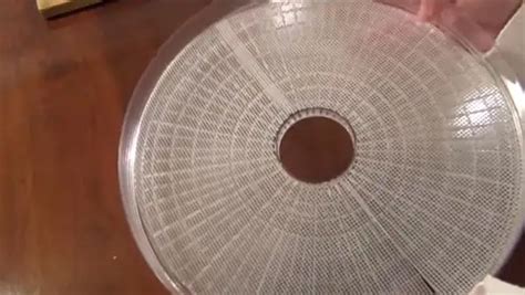 5 Best Dehydrator Sheets For Safe Food Preparing In 2025
