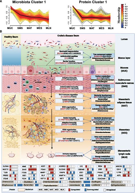 Figure 1 From Integrative Multi Omics Deciphers The Spatial
