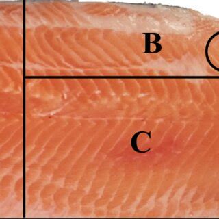 Sampling Segments For Measurements Of Different Quality Indices In Download Scientific Diagram