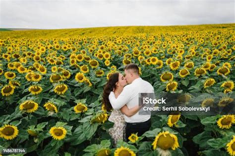 해바라기 밭에서 키스하는 커플 남자와 여자는 포옹하고 빈터를 즐기며 걷고 자연 속에서 포옹한다 신혼 여행 주말 휴가 휴일 개념입니다 러브 스토리 뒷모습 낭만적 인 순간 25
