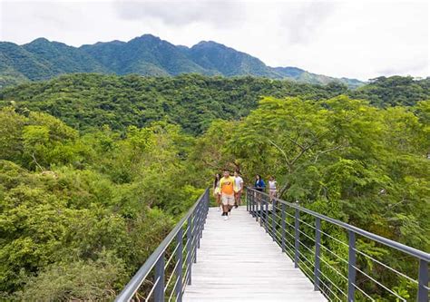 Puerto Vallarta Walking Tour To Glass Viewpoint Jorullo Getyourguide