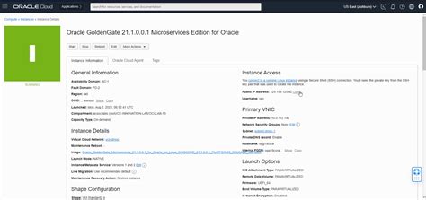 [demo] Oracle Goldengate Microservices Architecture Oac To Analyze