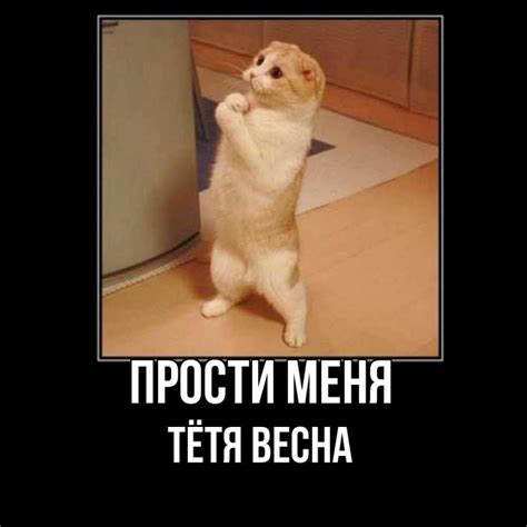 Открытка с именем Тётя Весна Прости меня Котик просит прощения стоя на задних лапках Открытки