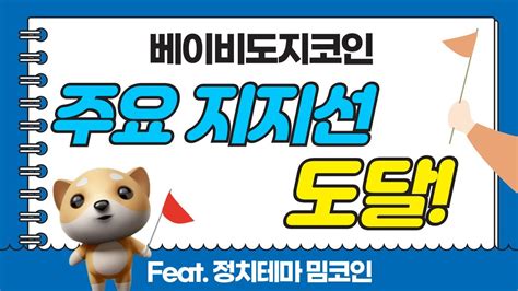 베이비도지코인 주요 지지선 도달feat 정치테마 밈코인 Youtube