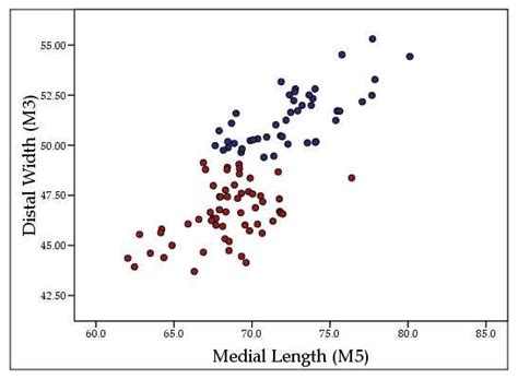 Figure E20 Sex Analysis Scatter Plot For The Astragalus Using Figure E20 Sex Analysis Scatter Plot For The Astragalus Using