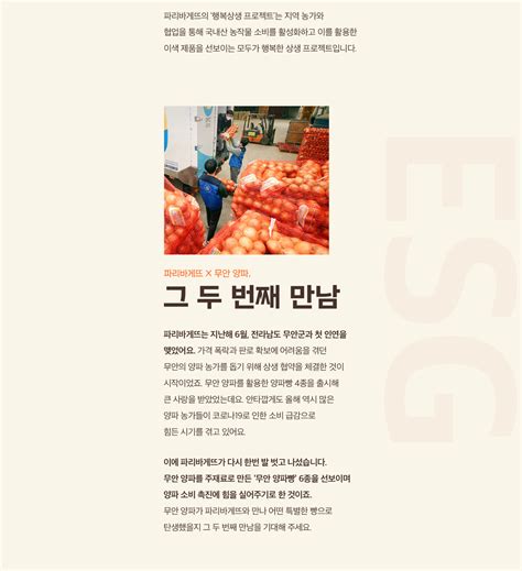 무안 양파 파리바게뜨