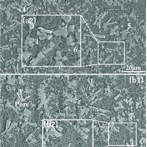 Sem Microstructure Of The Central Part Of The Cladding Coating Of