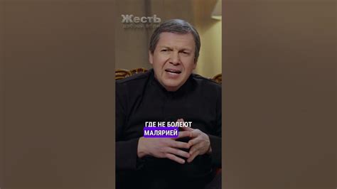 СИ ЦЗИНЬПИН дал интервью СОЛОВЬЕВУ ЖестЬДобройВоли пародия соловьев сицзиньпин Youtube