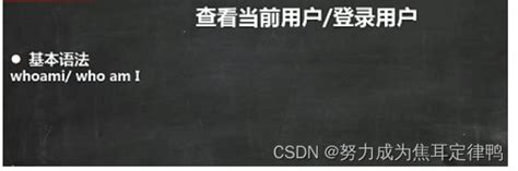 Linux关机and重启操作用户登录和注销添加用户指定修改密码删除用户查询用户信息切换用户查询当前用户登录用户用户组修改