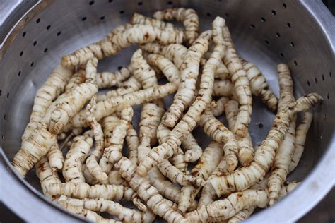 Skirret Seeds Sium Sisarum — Annapolis Seeds