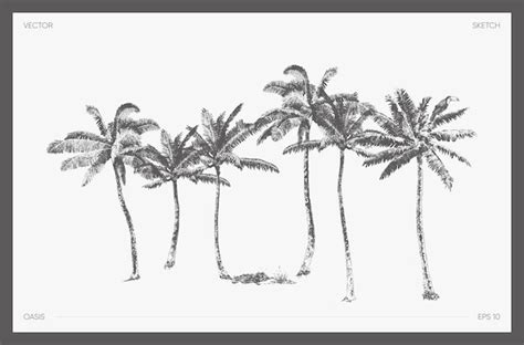 Premium Vector High Detail Hand Drawn Vector Illustration Of Palm Tree Realistic Drawing Sketch