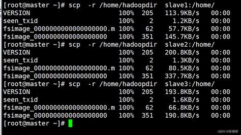 Hadoop实训目的和内容 Hadoop平台搭建实训报告mob64ca140a59b0的技术博客51cto博客