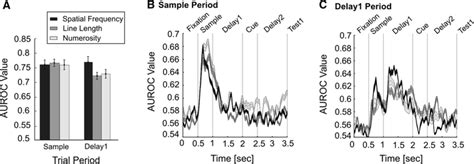 Average Auroc Values Of Pfc Neurons For The Three Different Magnitude
