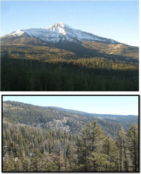 Choice Experiment Scenario Introduction Download Scientific Diagram