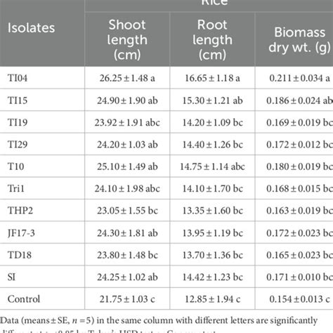 The Influence Of Trichoderma Isolates With Si On Seedling Growth Of Download Scientific Diagram
