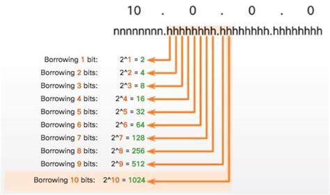 Introduction To Networks 60 Instructor Materials Chapter 8