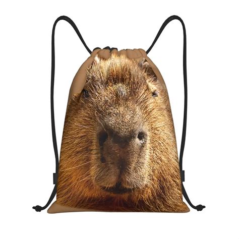Capybara 선샤인 프린팅 드로스트링 백 트레이닝 요가 배낭 여성 남성 스포츠 체육관 배낭 위시버킷
