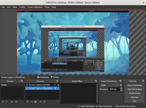 Mouse Cursor Is A Black Square When Adding A Filter To Pipewire Capture Source Issue