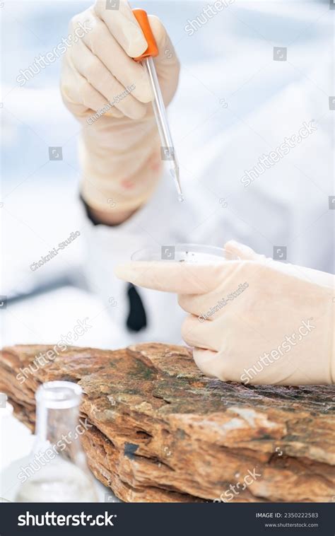 5 Thousand Minerals Metals Laboratory Royalty Free Images Stock Photos Pictures Shutterstock