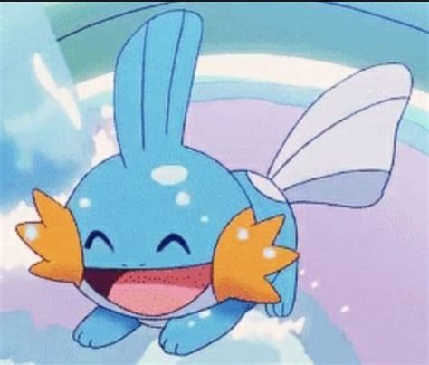 258 Mudkip Screenshot In 2025 Mudkip Pokemon Water Pokémon