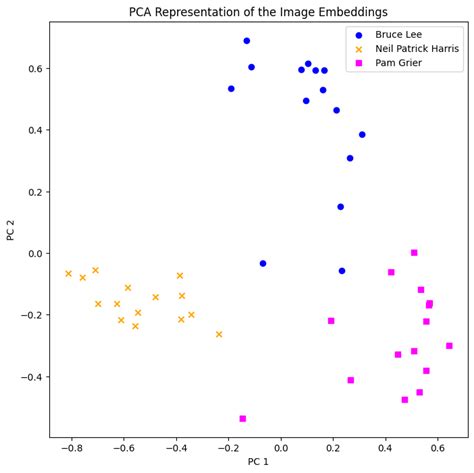 Bonus Tutorial Facial Recognition Using Modern Convnets — Neuromatch