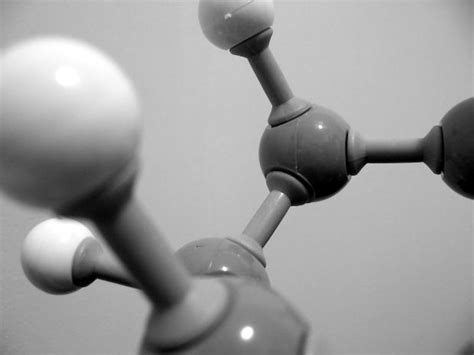 Structure And Function Of Macromolecules Carbohydrates Tutorial Sophia Learning