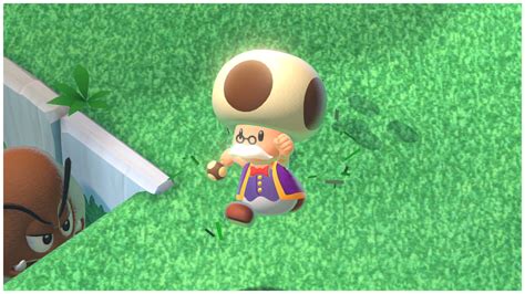 Toadsworth Over Toad Mod For Super Mario 3d World Bowsers Fury