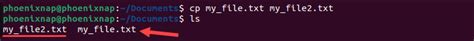 How To Copy Files And Directories In Linux With Examples