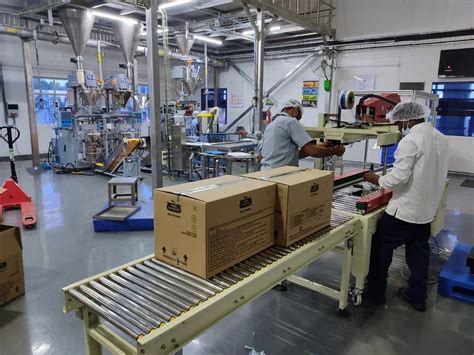 Stainless Steel Material Handling Conveyors At ₹ 35000 Piece In Chennai Id 2855448149633