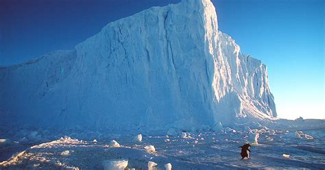 Human Impacts In Antarctica What Are We Doing Magazine Issue 1