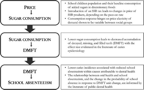 Conceptual Framework And Model Structure Download Scientific Diagram