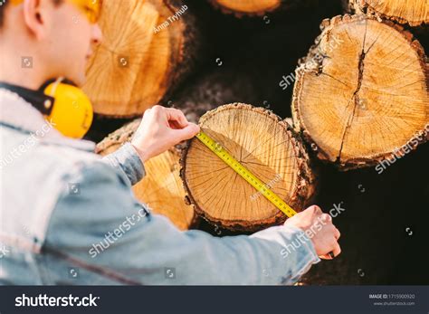 Back View Male Forester Using Measuring Stock Photo 1715900920 Shutterstock