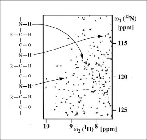 2 D Nmr Spectrum Through Bond Correlation Spectrum Between The Download Scientific Diagram